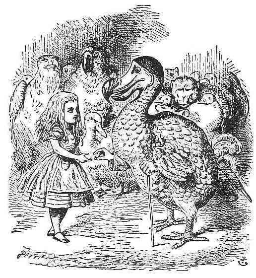 Dodos - Visiter | Monchicon!