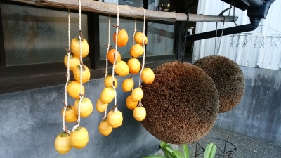 秋の風物詩 | 小豆島酒造 小豆島で唯一の酒造