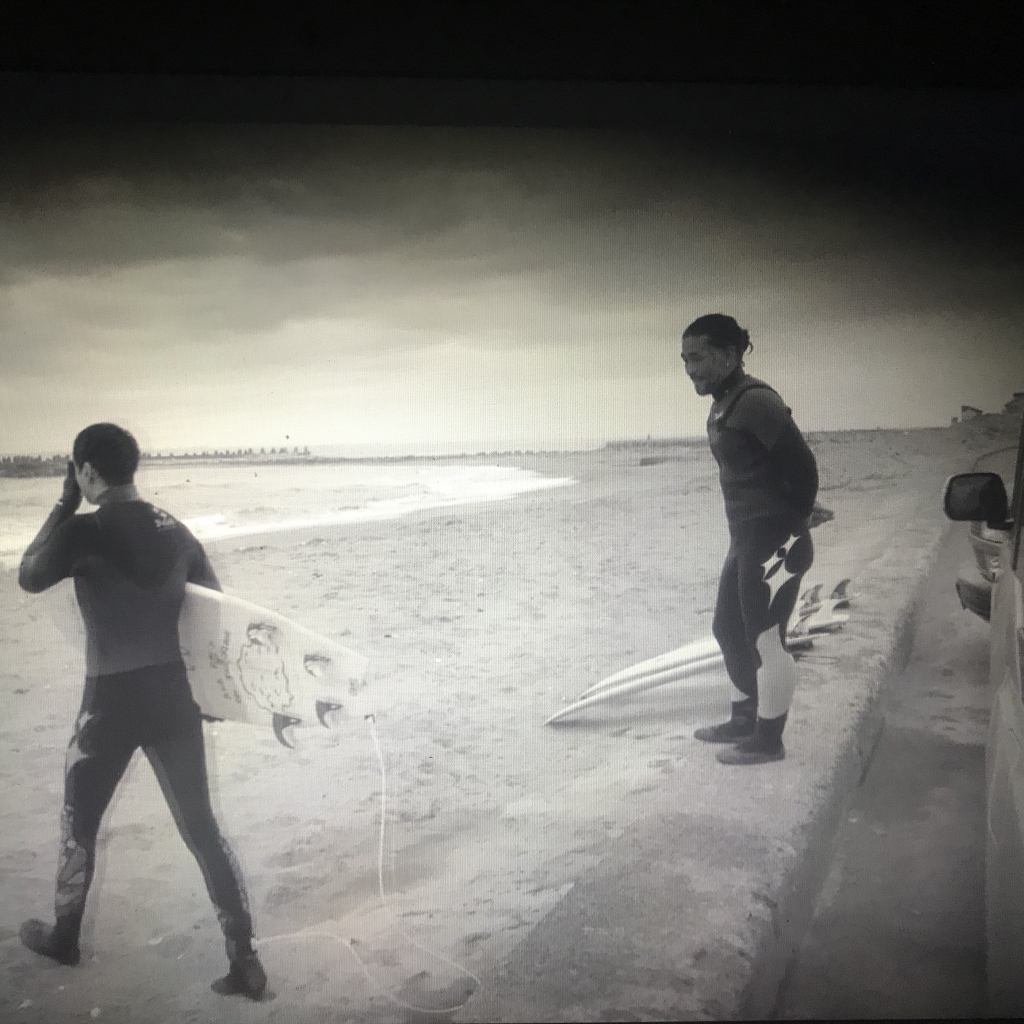 M/SF/T | HAYASHI INTERNATIONAL