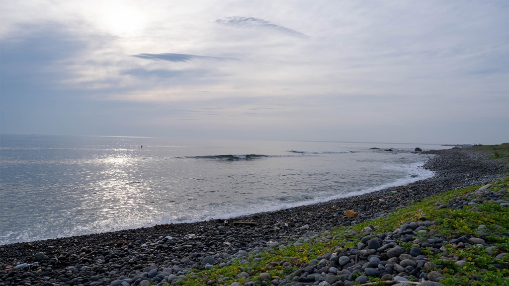 HAYASHI INTERNATIONAL