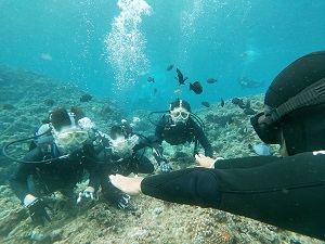 青の洞窟 体験ダイビング＆シュノーケリング＆マリンウォーク | 沖縄 青の洞窟専門店 ブルーオーシャンブログ