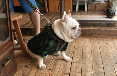 指定自動車教習所の日 | ドムカデザイン ～staff dialy～