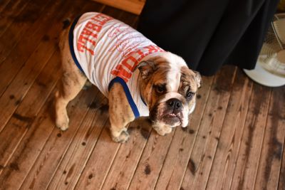 録音文化の日 | ドムカデザイン ～staff dialy～