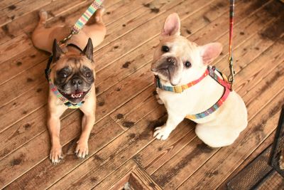 歩道橋の日 | ドムカデザイン ～staff dialy～