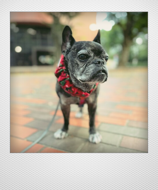 風呂の日 | ドムカデザイン ～staff dialy～