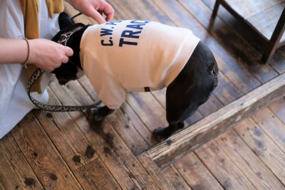 定休日 | ドムカデザイン ～staff dialy～