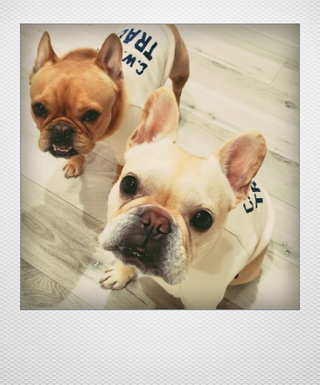 定休日 | ドムカデザイン ～staff dialy～