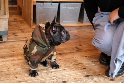 トラックの日 | ドムカデザイン ～staff dialy～