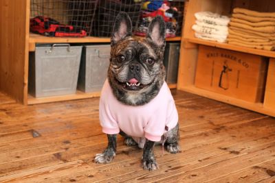 カレンダーの日 | ドムカデザイン ～staff dialy～