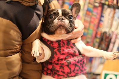 カレンダーの日 | ドムカデザイン ～staff dialy～