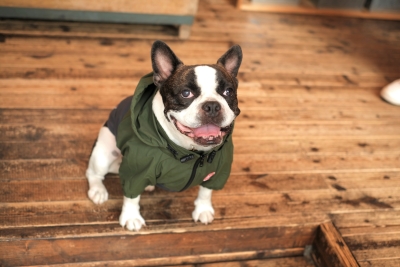 定休日 | ドムカデザイン ～staff dialy～