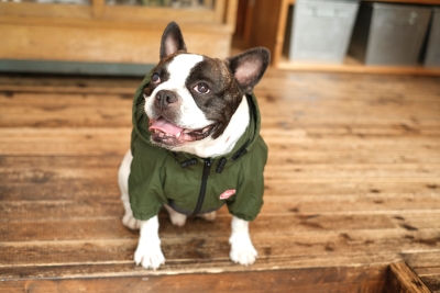 定休日 | ドムカデザイン ～staff dialy～