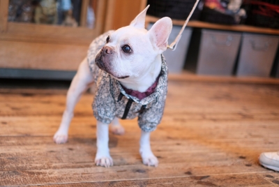 ベースボール記念日 | ドムカデザイン ～staff dialy～