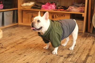 定休日 | ドムカデザイン ～staff dialy～