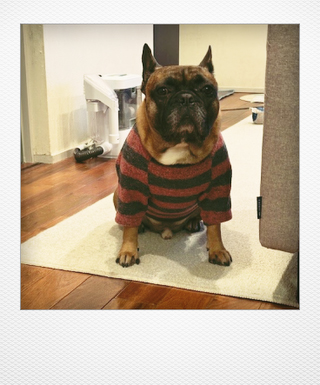 定休日 | ドムカデザイン ～staff dialy～