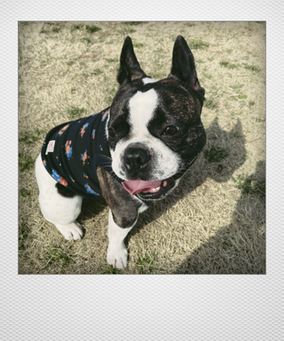 定休日 | ドムカデザイン ～staff dialy～