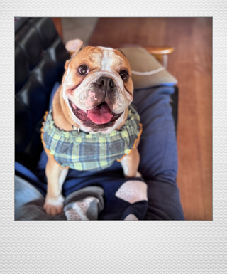 日本人初飛行の日 | ドムカデザイン ～staff dialy～