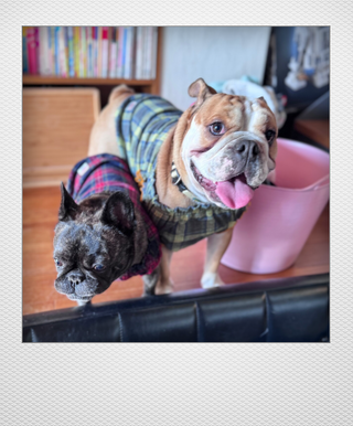 日本人初飛行の日 | ドムカデザイン ～staff dialy～