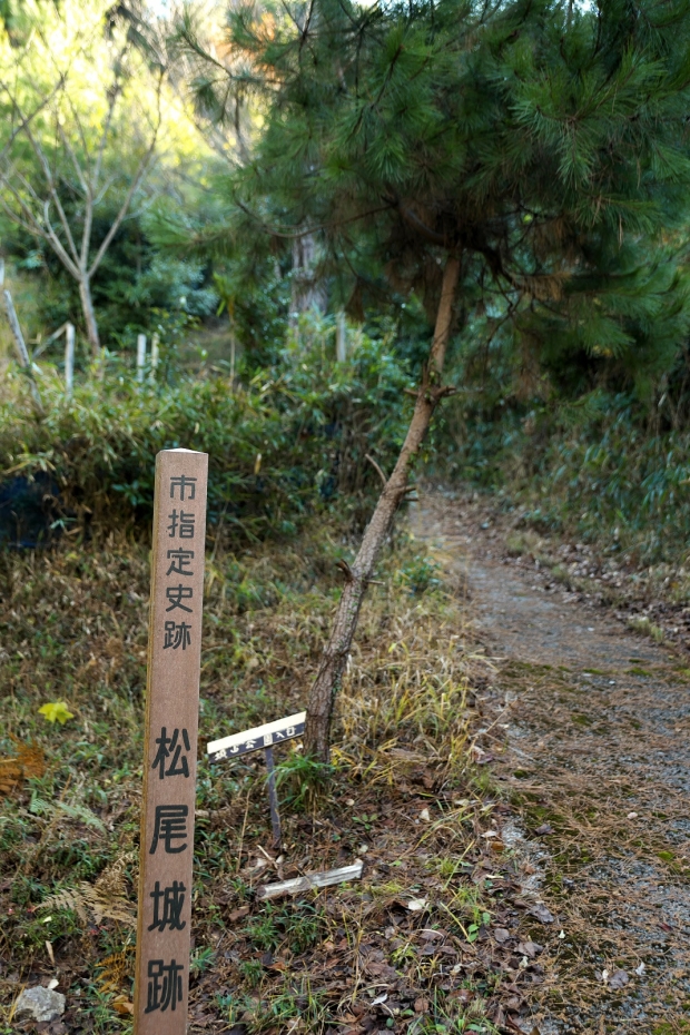 松尾城趾 | 大分県豊後大野市から気ままなblog
