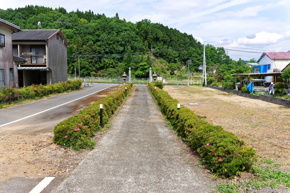 浄運寺の桜が。。。 | 大分県豊後大野市から気ままなblog