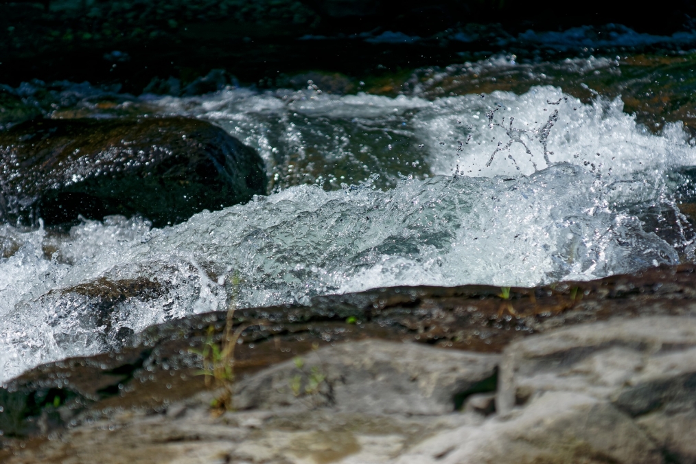 しょわねぇな？ | 大分県豊後大野市から気ままなblog