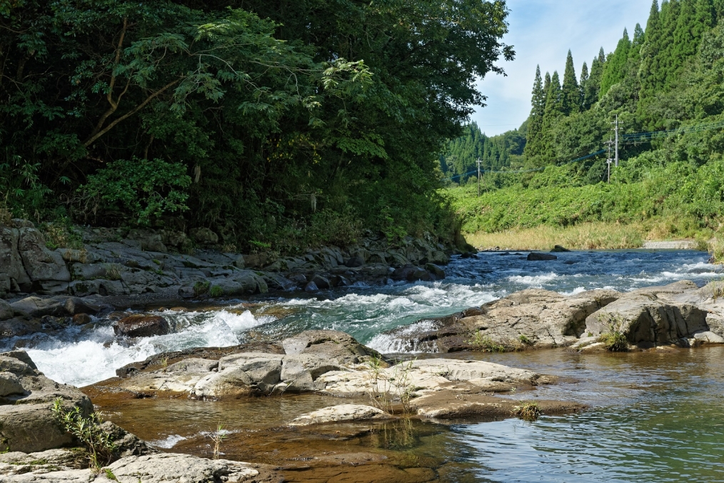 しょわねぇな？ | 大分県豊後大野市から気ままなblog