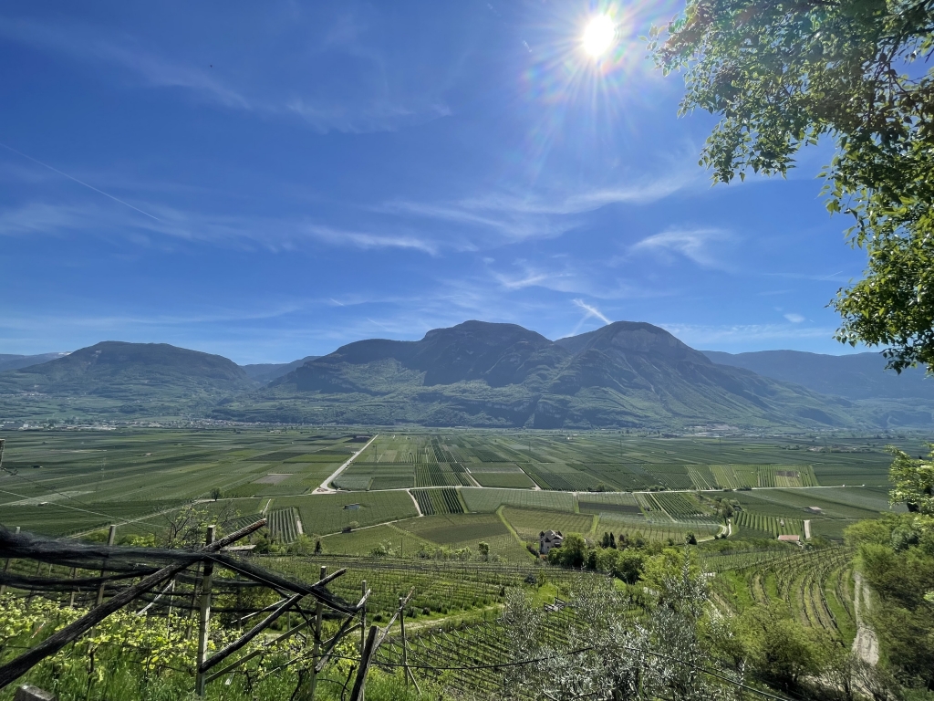 トレンティーノへ | Atsushi Oka Official Blog