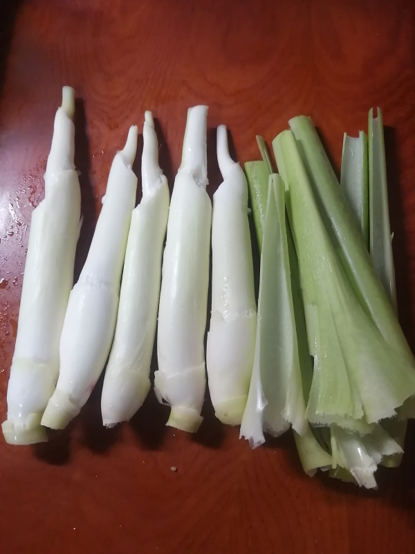 元Jリーガー 内藤 潤 の 神河ブログ