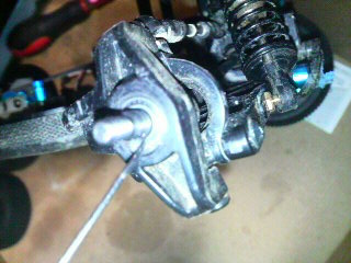 ドゥルガメンテ | 豆育