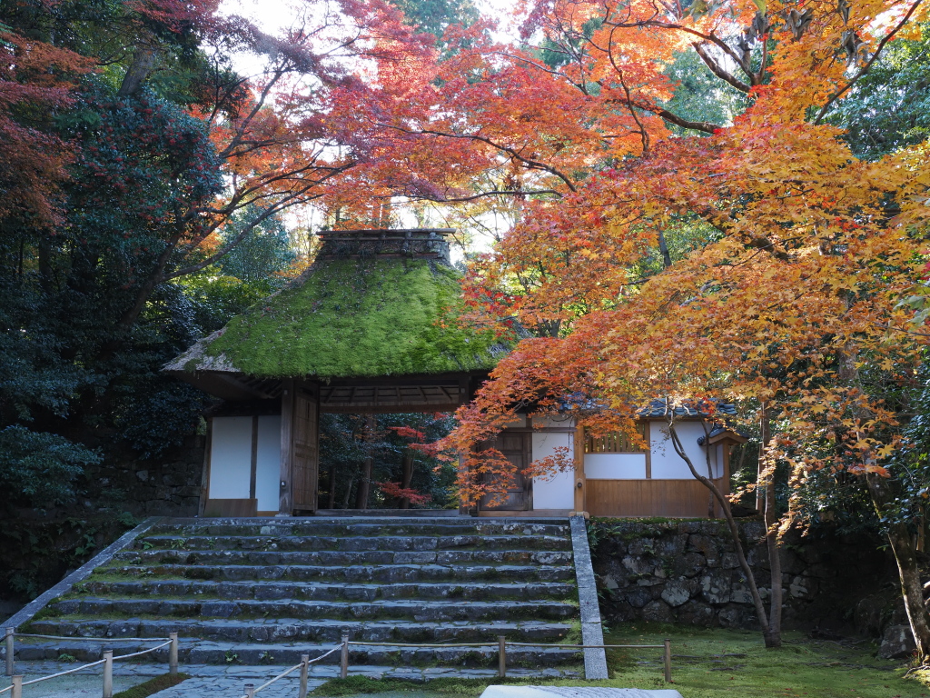 No.2356 京都の紅葉23 朝の法然院 | TETSUYA氏ブログ