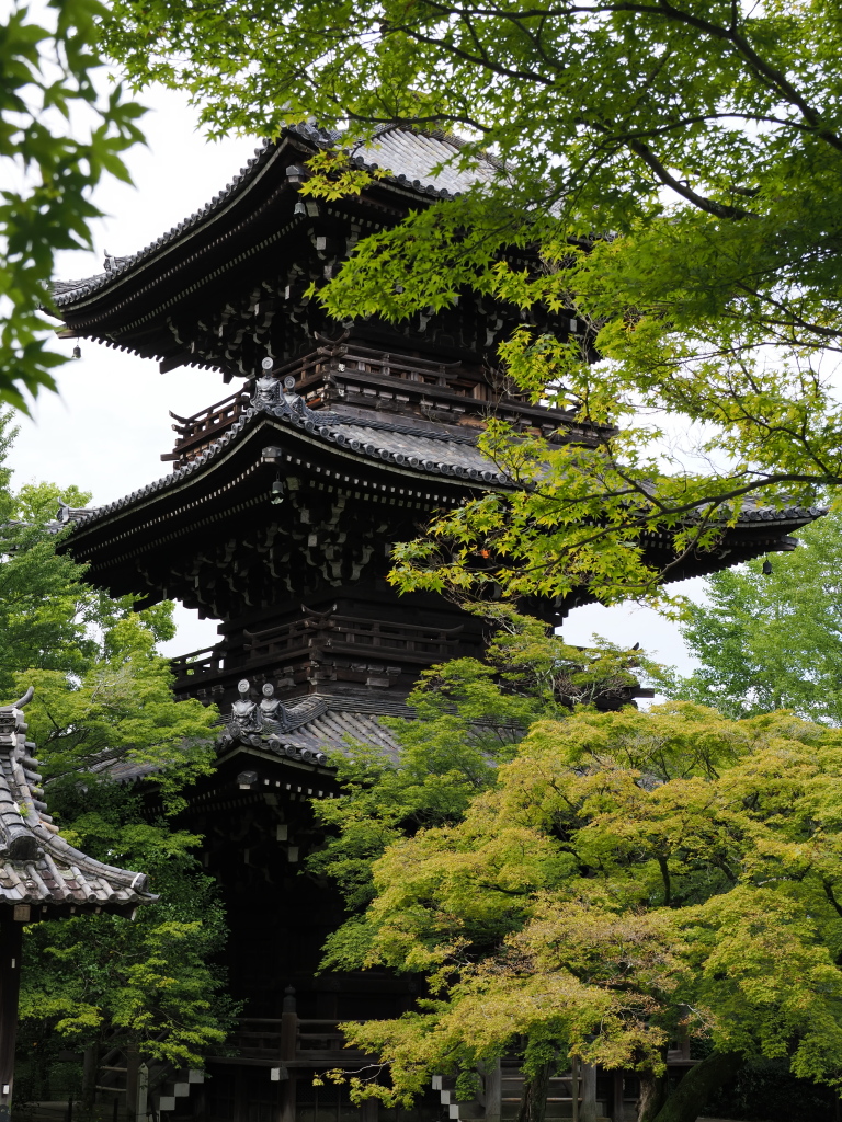 No.2748 真如堂へ | TETSUYA氏ブログ