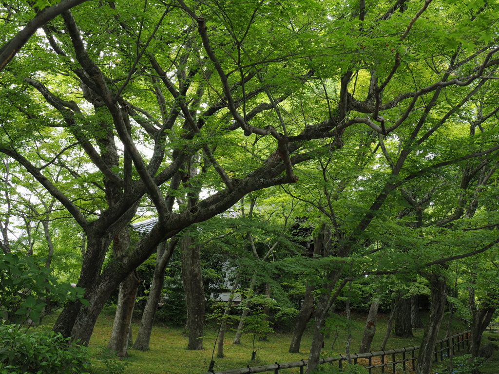 TETSUYA氏ブログ