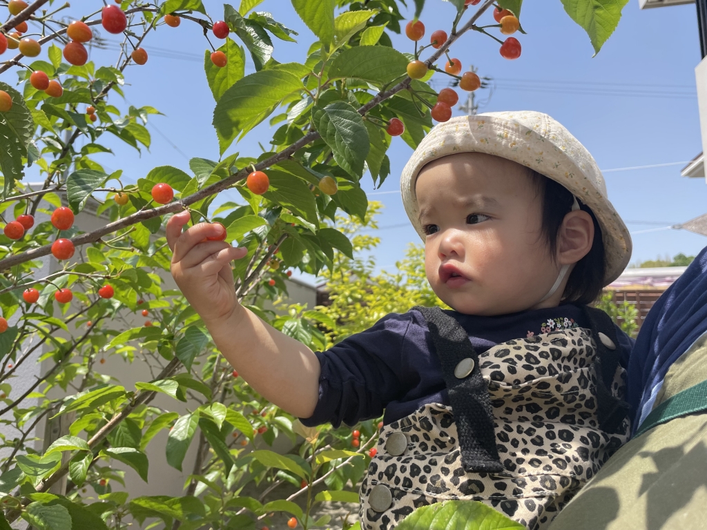 ぷちぷち | My First JUGEM