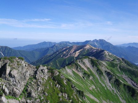 Smithsonian's Journal