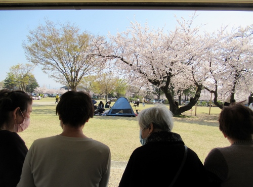お花見ドライブ | ケアハウスゆりの里 ぶろぐ