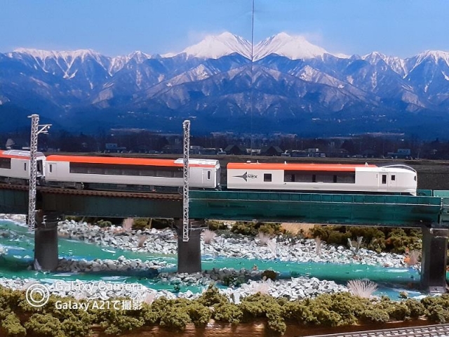 TOMIX JR E259系特急電車(成田エクスプレス) | 湘南急行鉄道物語