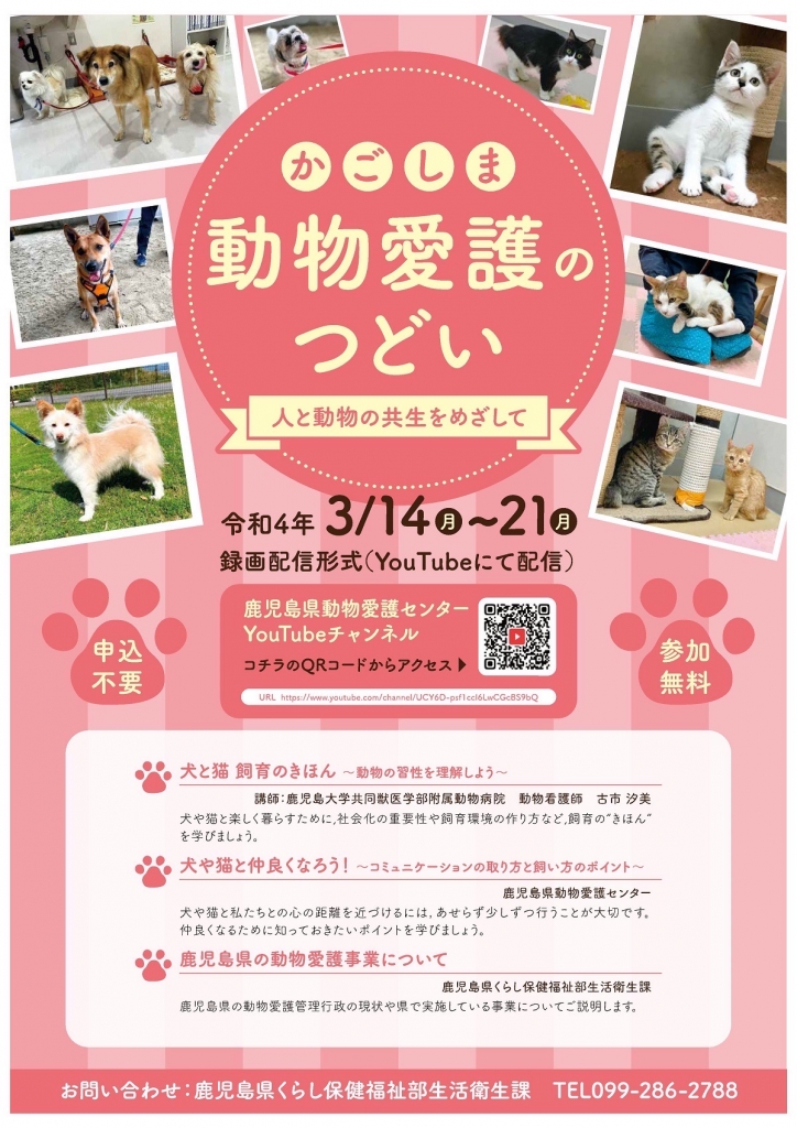 お見逃しなく〜 | 鹿児島の犬・猫の里親募集（ボランティアグループ わんにゃんハート）