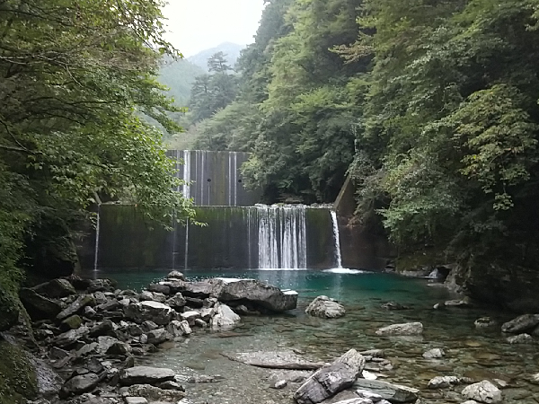 四国旅 仁淀川 | うぉータンの“水辺の話”