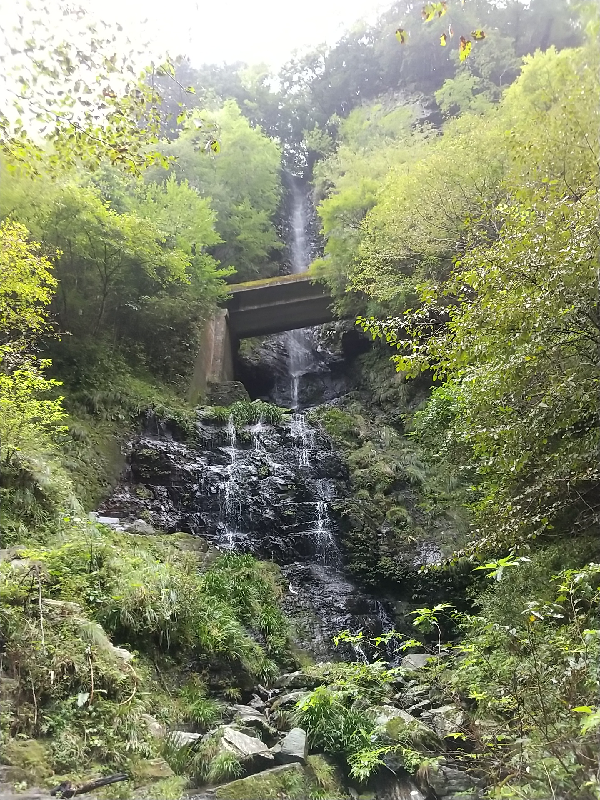 四国旅 仁淀川 | うぉータンの“水辺の話”