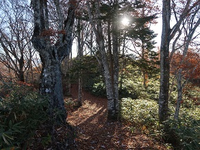 飛騨山脈の大展望台―十二ヶ岳(1,327m) | WALK あばうと 日本4,000山