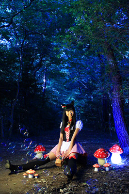 キノコの森 | NECOCO＊Net