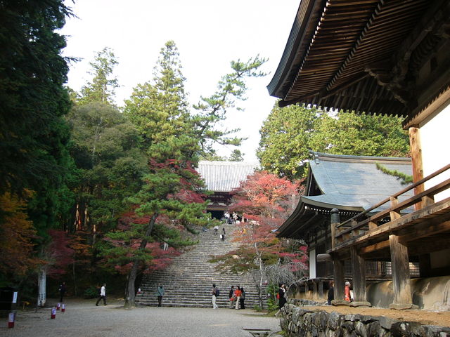 栂ノ尾～高雄を歩く 神護寺 | 夢幻泡影