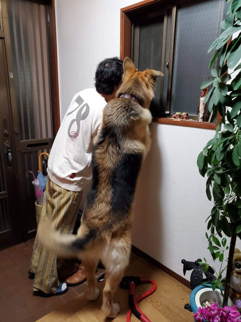 しっぽの生えた天使達 。。。2