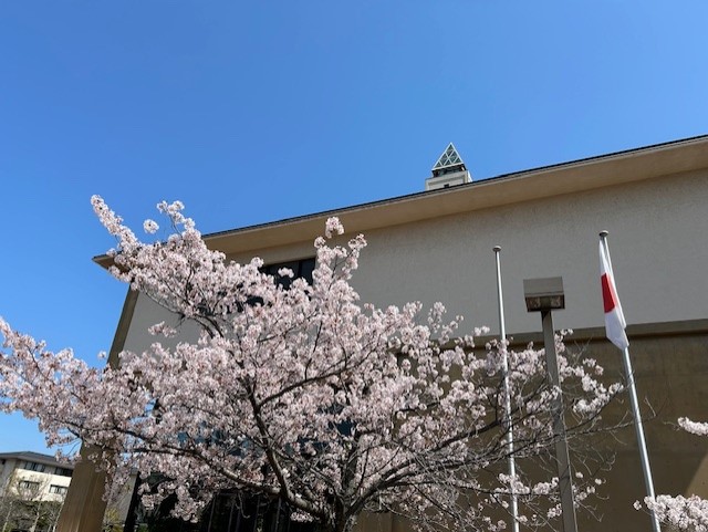 6533 くらしき作陽大学、春のキャンパス！ | 先生の日記