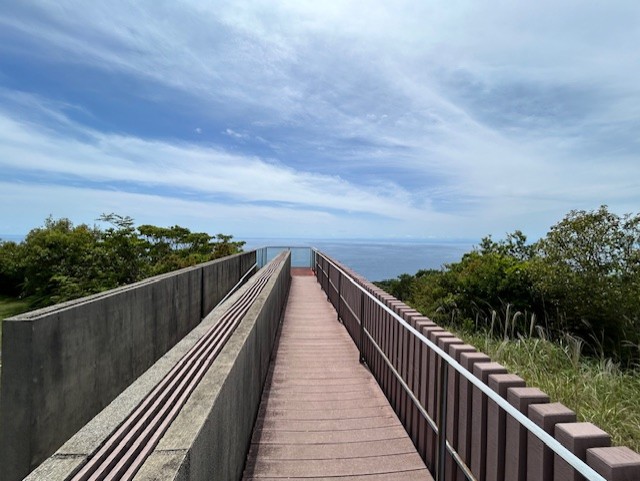 日記 > page 2 - 山本あきひこのぴあの教室