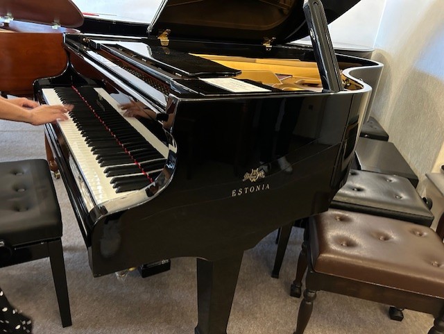 6695 大学生の生徒さんたち、ピアノそのもの体験ツアー～海外メーカーのピアノ！ | 先生の日記