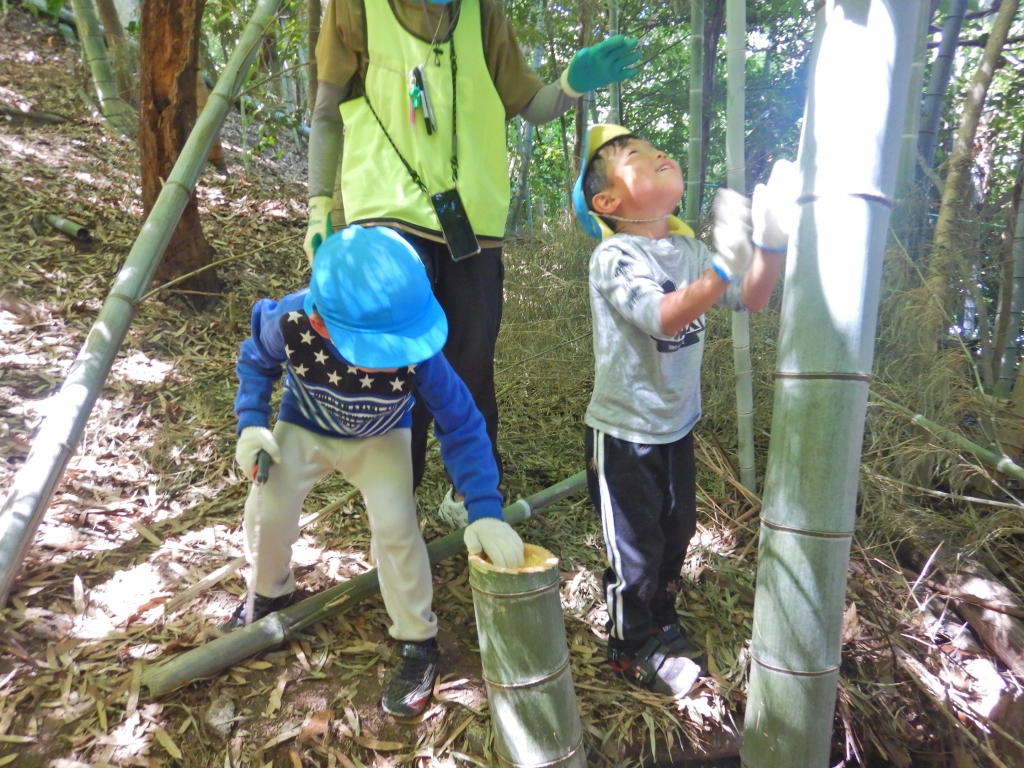 みどりの森みらいこども園