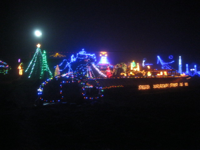 ★ガルテンin愛媛★ | クラインガルテン四万十★☆スタッフブログ☆★