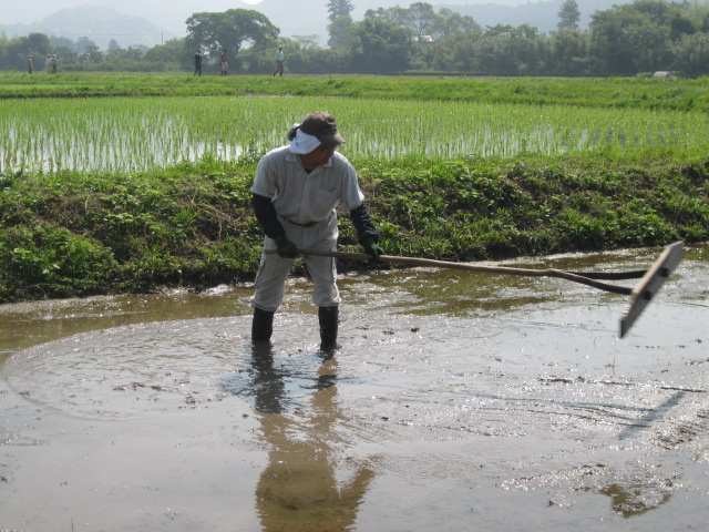 ☆ガル田～いよいよ田植えです～N子編☆ | クラインガルテン四万十★☆スタッフブログ☆★
