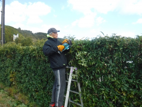★垣根切り⑤★ | クラインガルテン四万十★☆スタッフブログ☆★